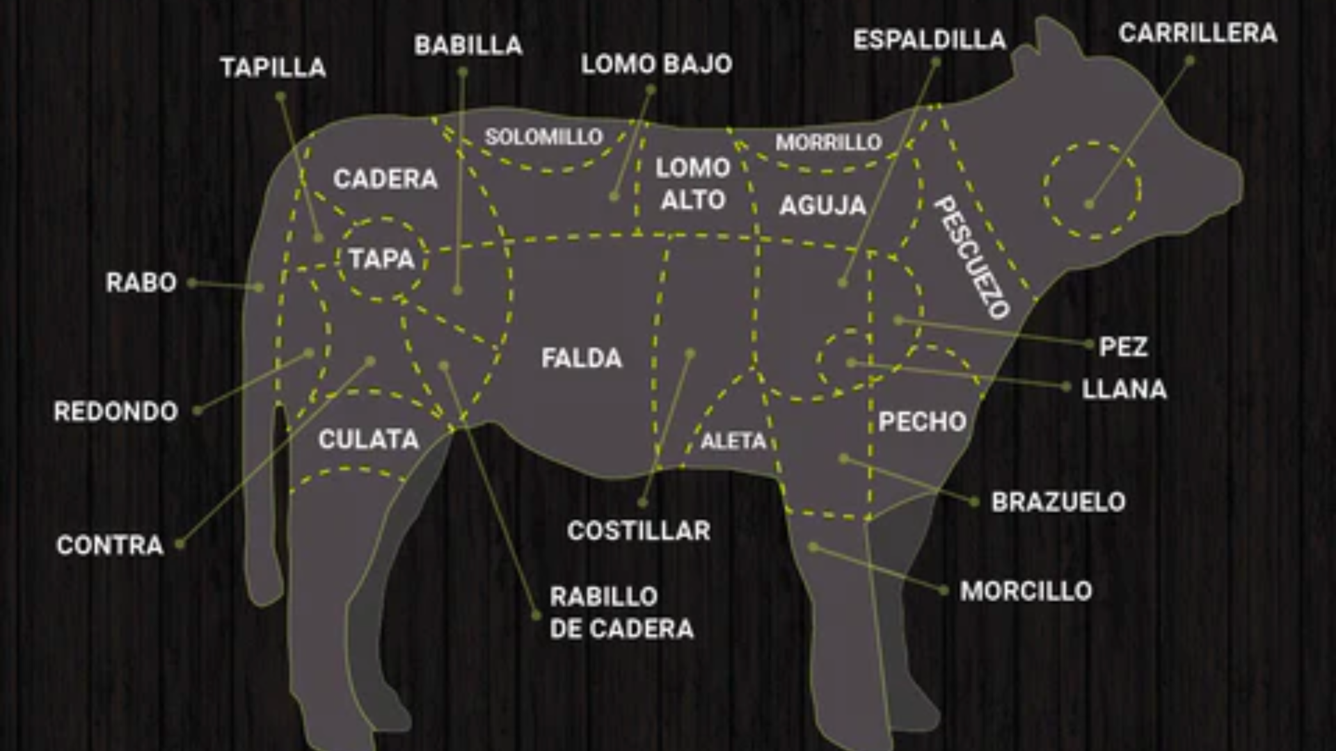 Anatomía Del Hueso De La Pata De Vaca